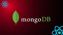 How to connect MongoDB with React.js